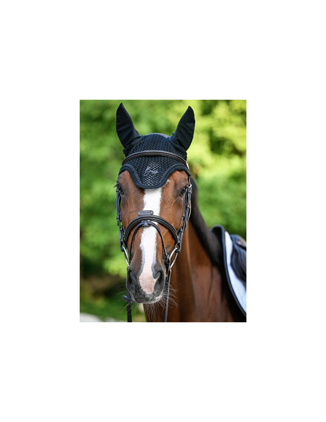 West cheval : saddlery online preferred by riders