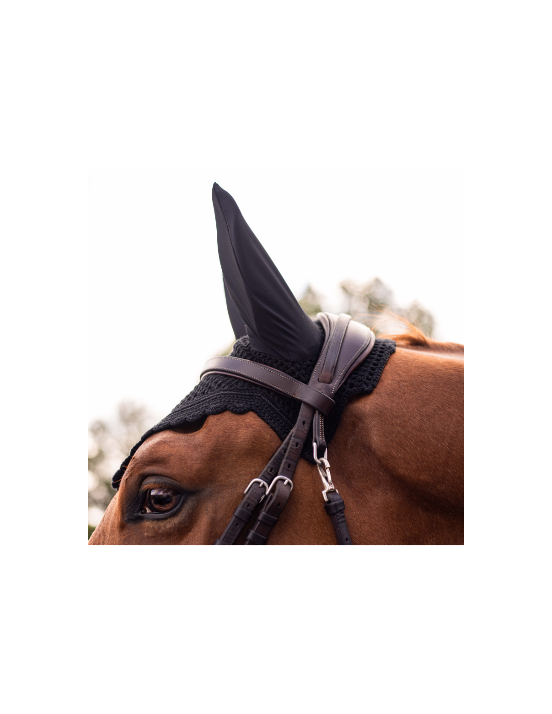 Bonnet Samshield Embroidery | Bonnets Cheval