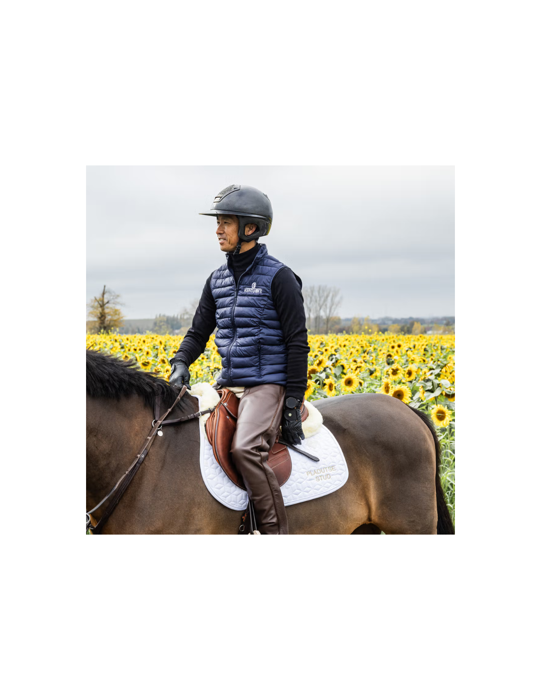 Doudoune Sans Manches Kentucky Homme | Doudounes Sans Manches Hommes