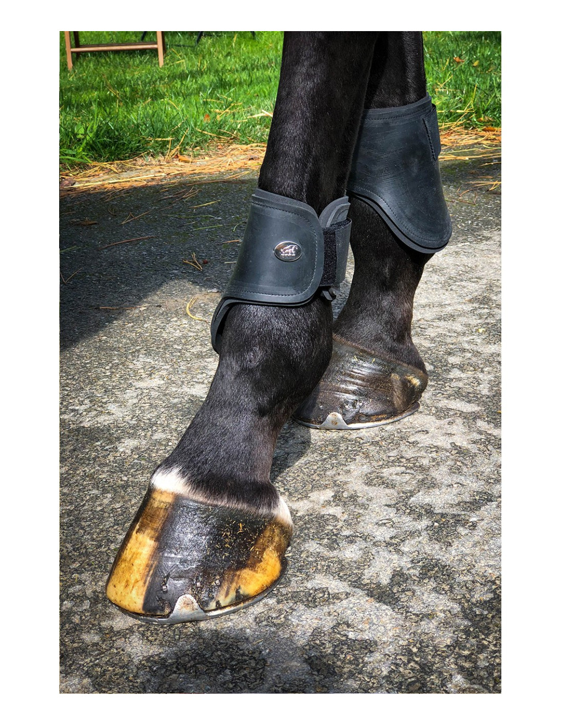 Protège-boulets Jump'In Para | Protection du cheval