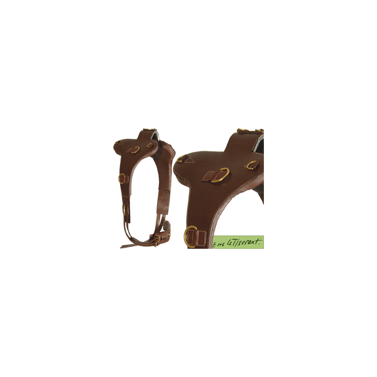 Surfaix Ergonomique Eric Le Tixerant | Equipement du cheval