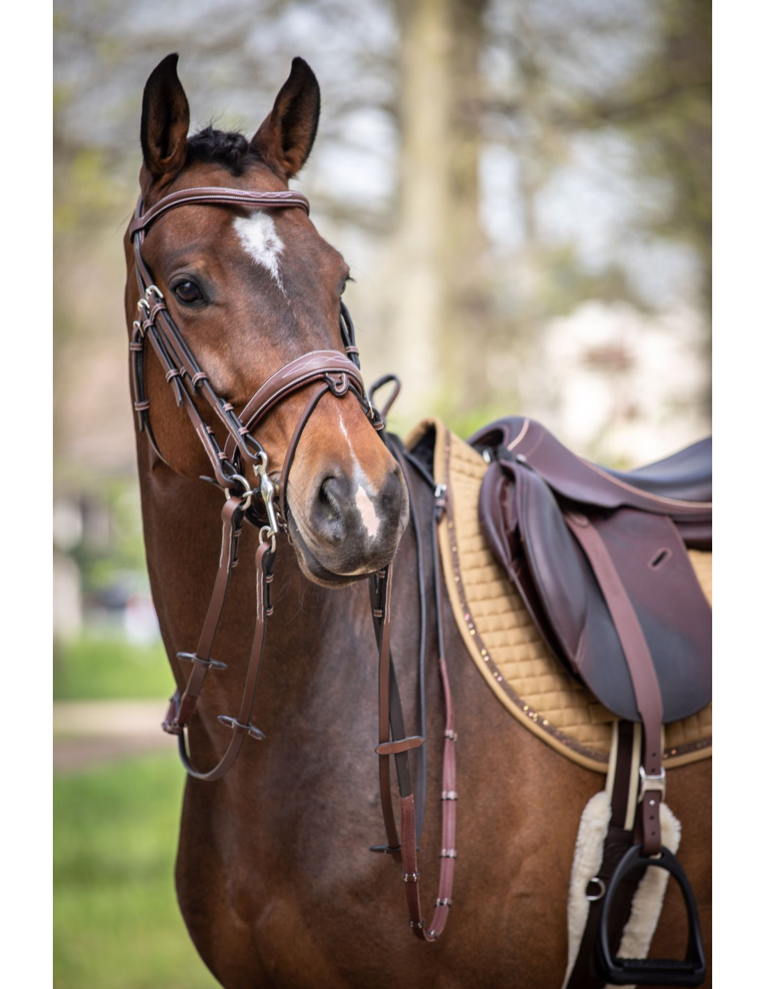 Brides pour chevaux | Materiel d'equitation