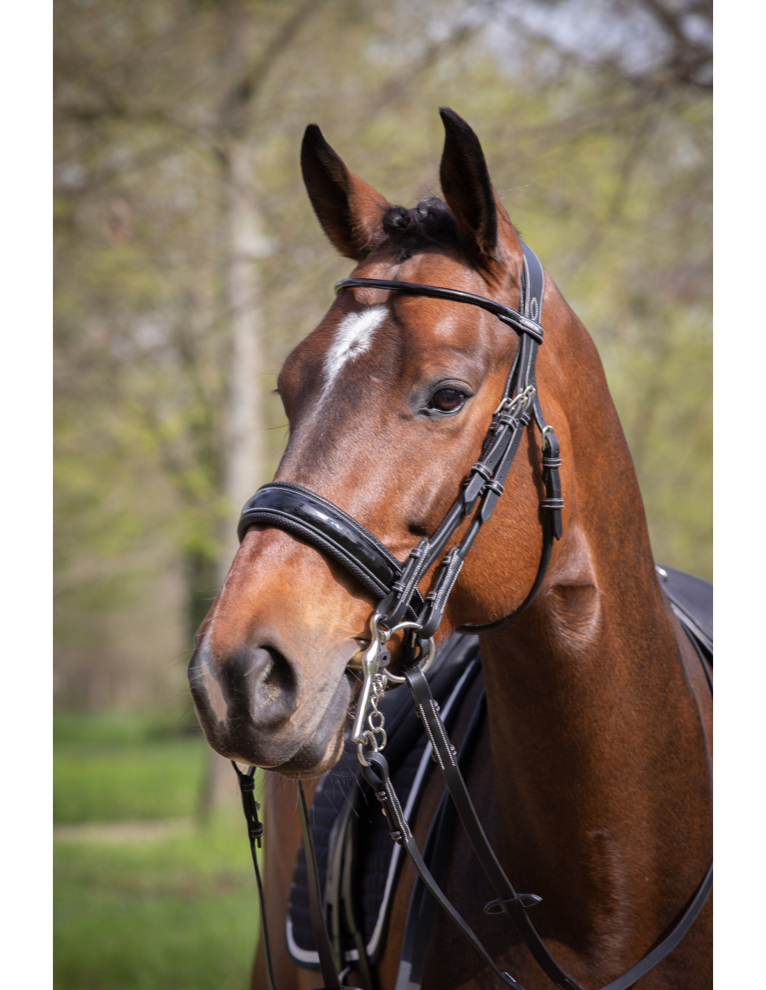 Brides pour chevaux | Materiel d'equitation