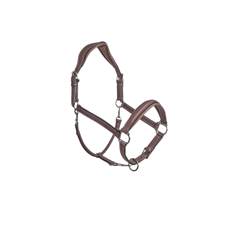 Licol CWD d'écurie | Licols et longes