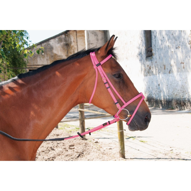 Bridon TdeT Biotack | Accessoires du cheval