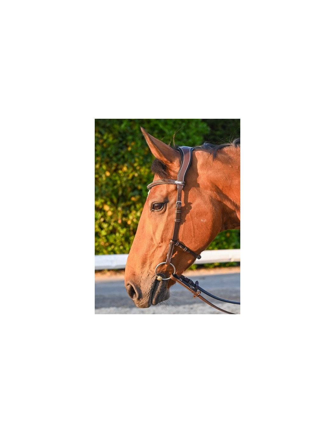 Bridon Jump'In Liberty sans Muserolle | Bridons