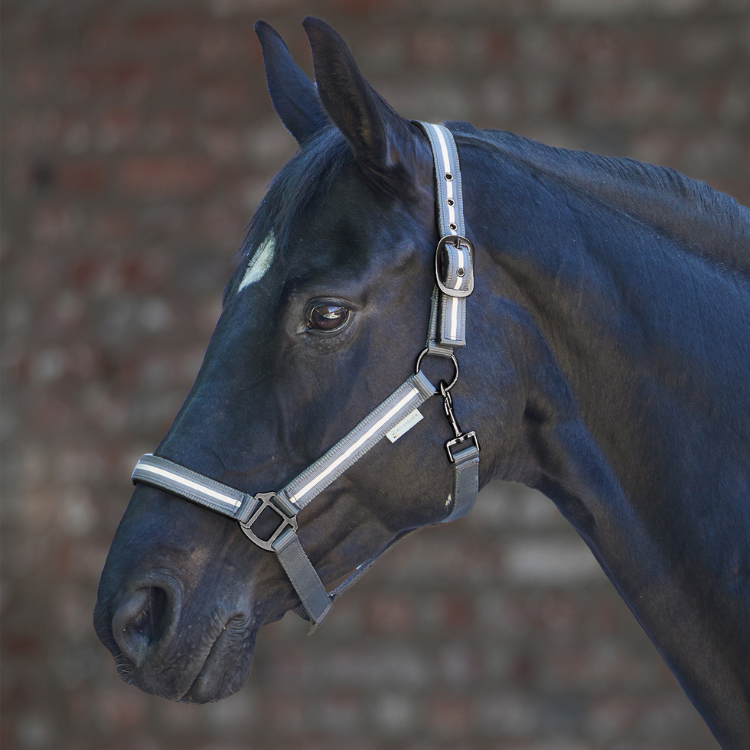 Licol Waldhausen Reflex Stripe | Licols et longes