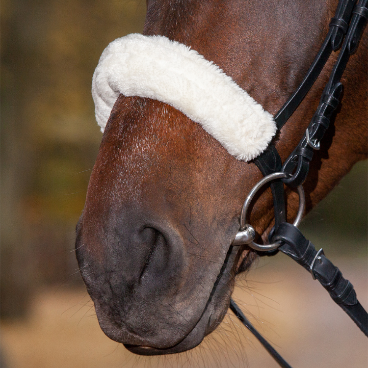 Protection De Chanfrein Ou De Nuque Waldhausen | Accessoires De Briderie