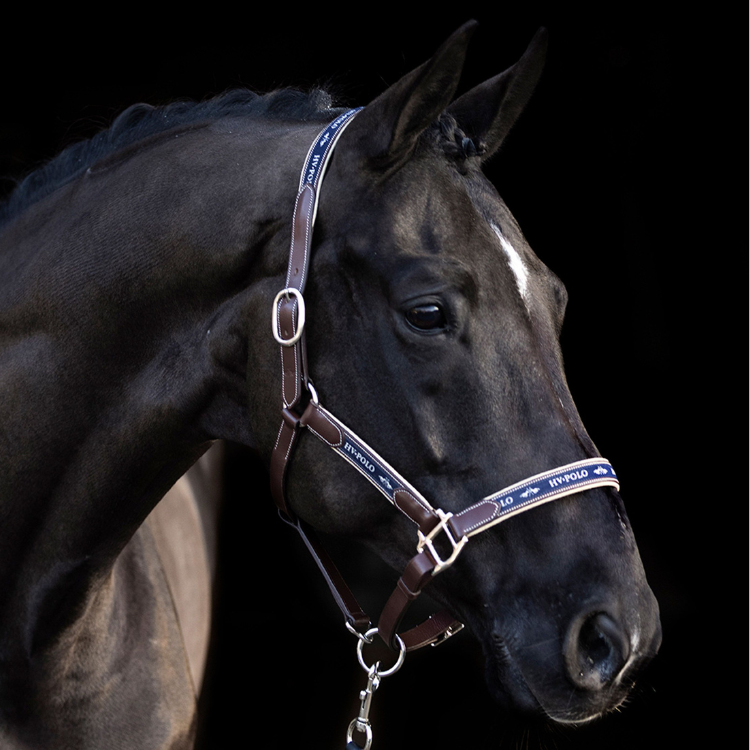 Licol HV Polo Iconic | Licols et longes