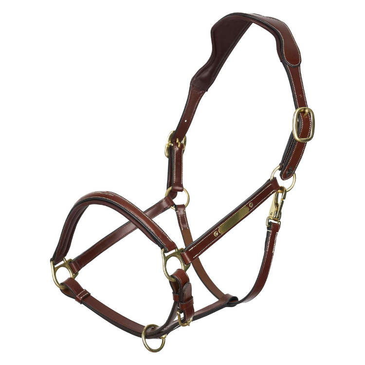Licol HV Polo Legacy | Licols et longes