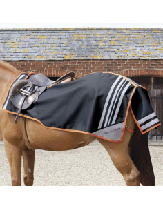 Couvre-reins pour cheval : Confort et bien-être équin. (3)