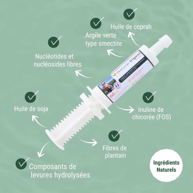 Seringue Natural'Innov Natural’Digest Flash | Digestion et Estomac Cheval