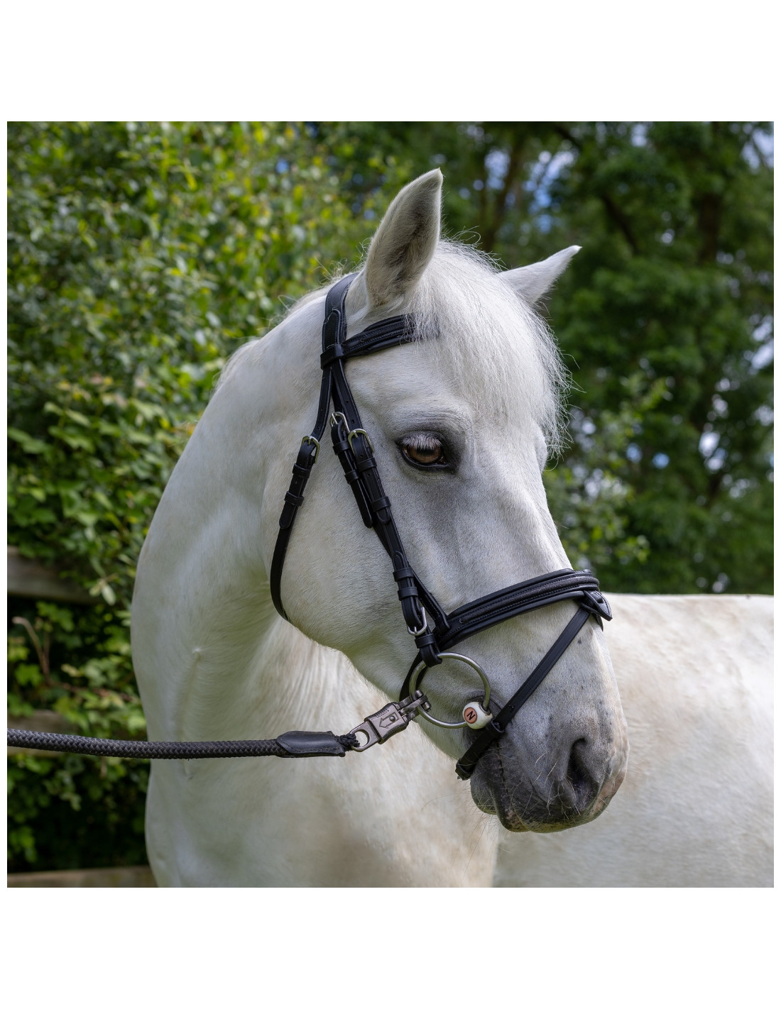 Bridon Canter Mylord | Bridons