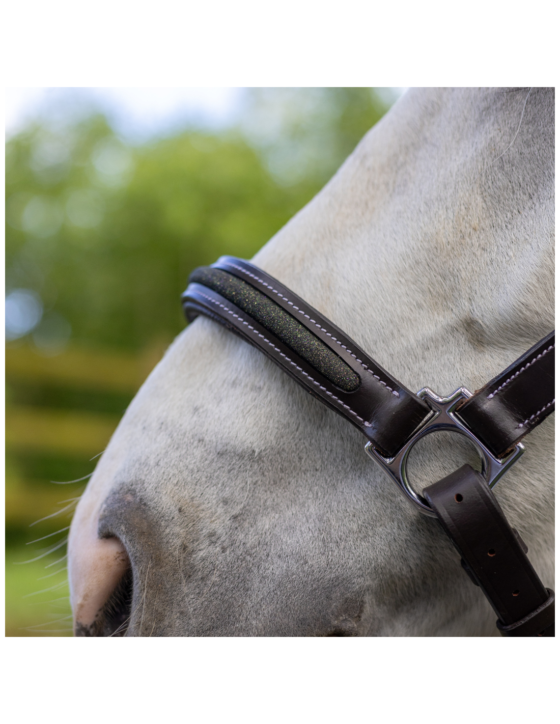 Licol Canter Mylord | Licols et Longes