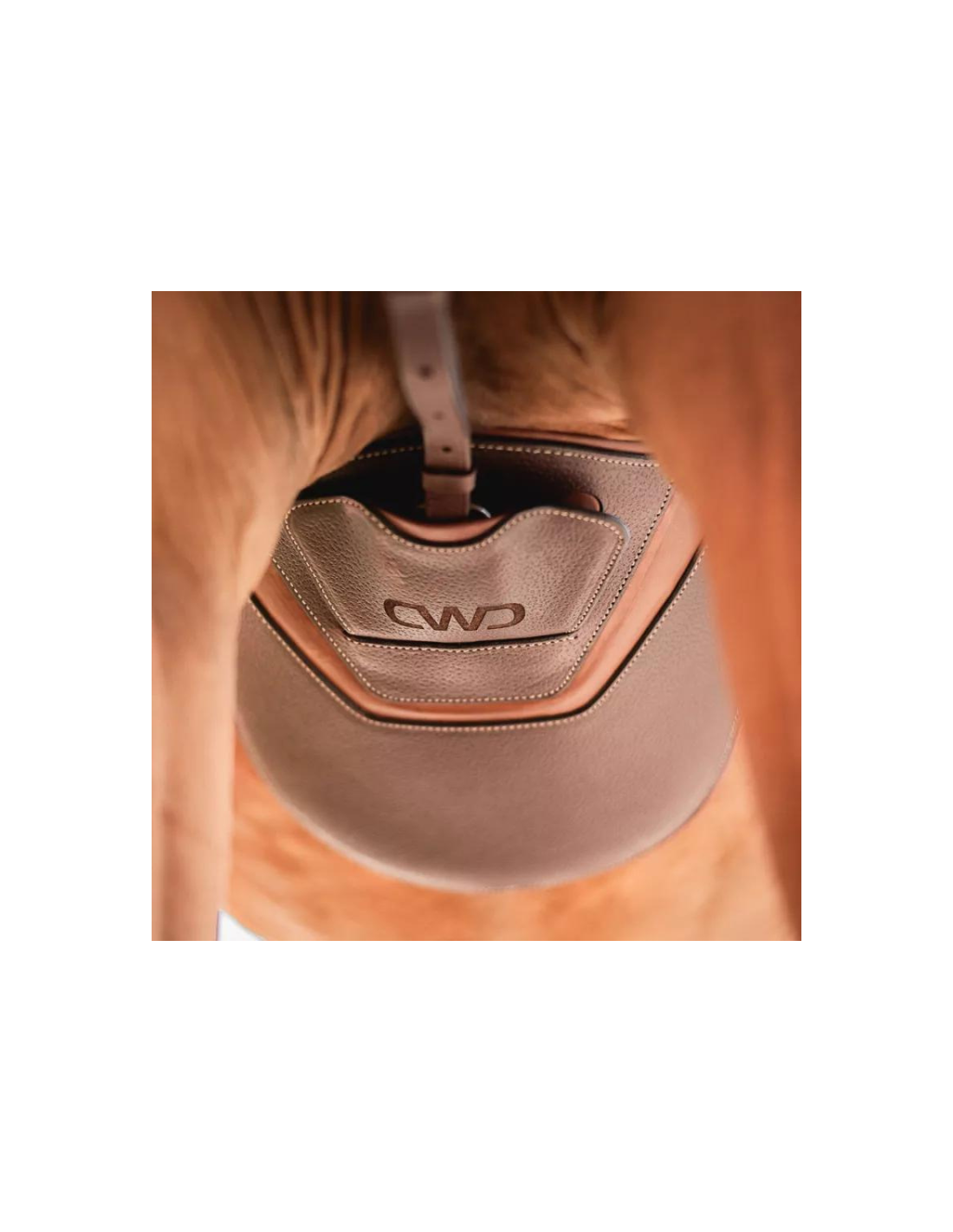 Sangle Bavette CWD Flexmotion | Sangles