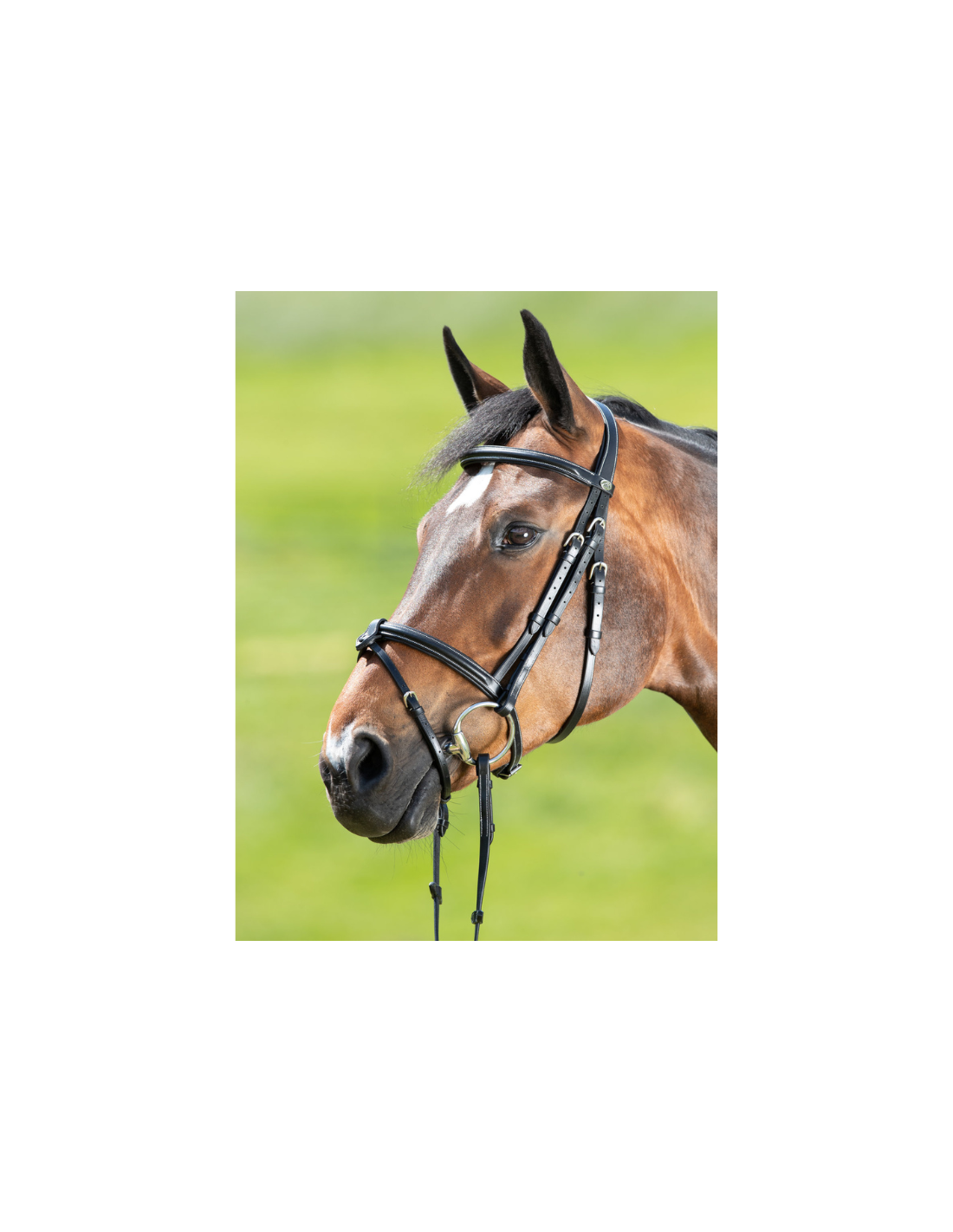 Bridon HFI Anatomic | Bridons