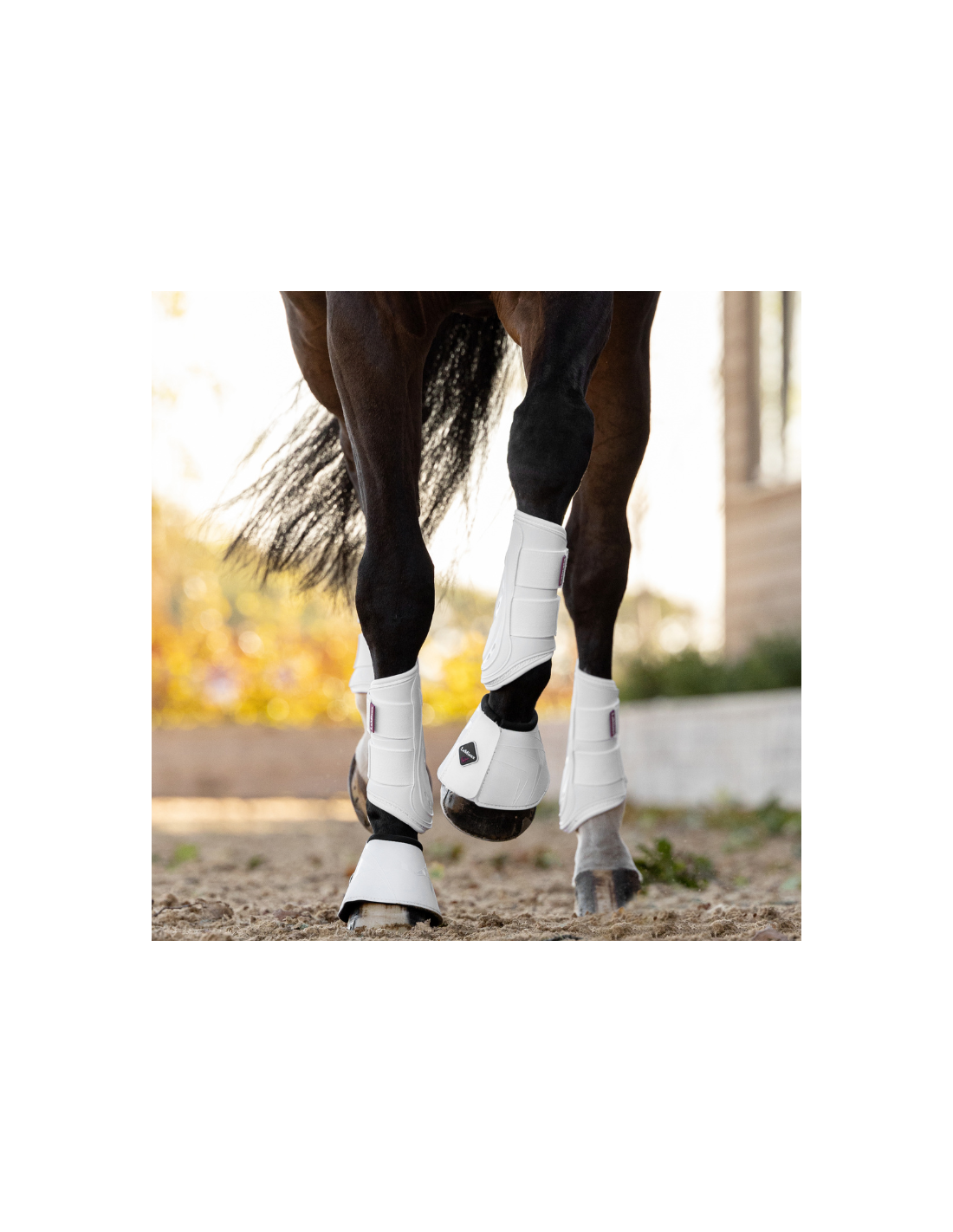 Guêtres LeMieux ProShell | Guêtres