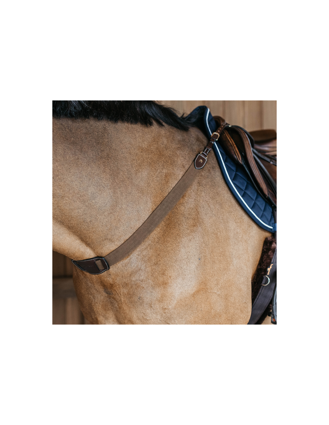 Collier Dy'on Élastique | Colliers de chasse