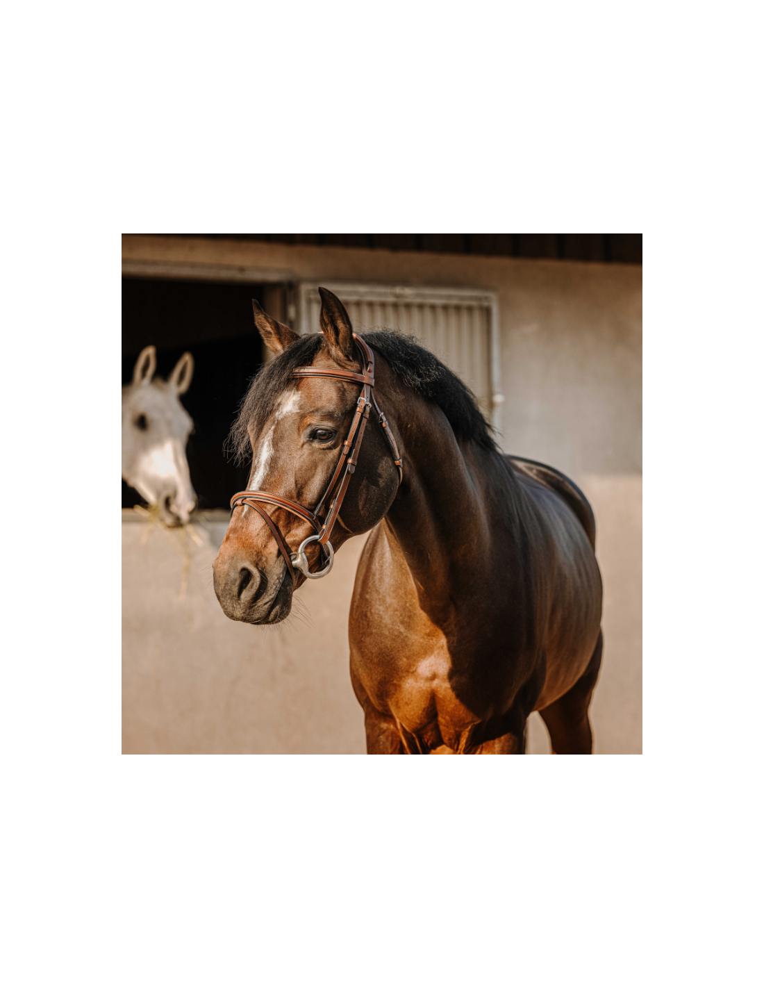 Bridon Eric Thomas Crown | Bridons