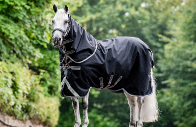 CWD | Materiel d’equitation et accessoires pour cheval